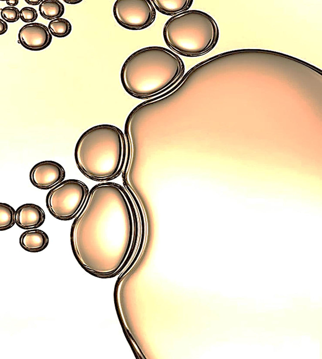 MOISTURIZERS + SPF | Mirror Mirror Beauty